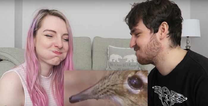 Joel SmallishBeans Bio Bio, Early Life, Career, Net Worth and