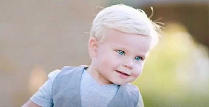 Oliver Lanning Bio Bio, Early Life, Career, Net Worth and Salary